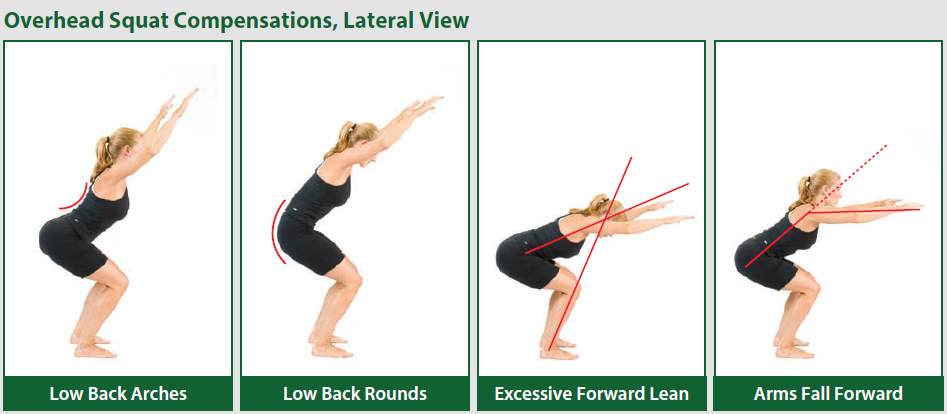 The Overhead Squat Assessment | The Fitness Trainer Academy